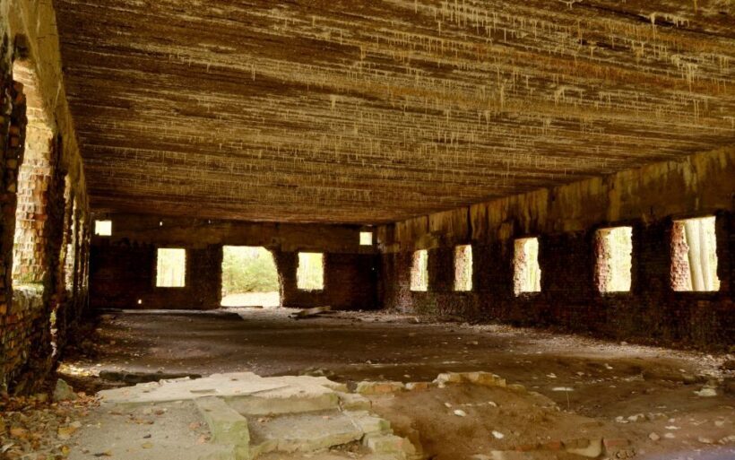 Warsaw: Private Full-Day Wolf's Lair Tour - Key Points