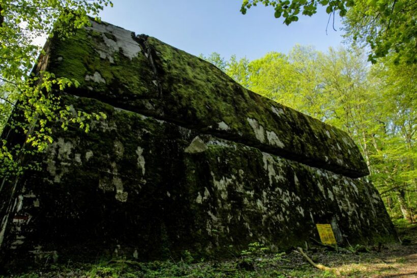 Warsaw: Private Full-Day Wolf's Lair Tour - Exploring the Wolfs Lair: A Closer Look