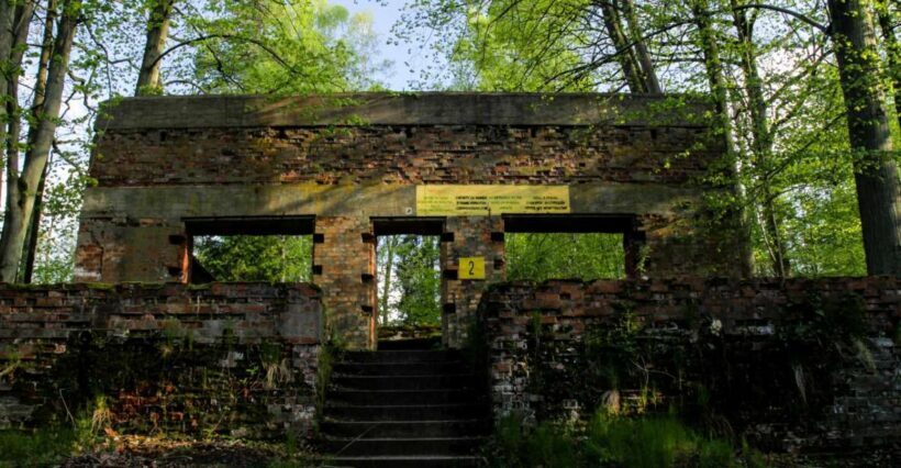 Warsaw: Private Full-Day Wolf's Lair Tour - Who Will Love This Tour?