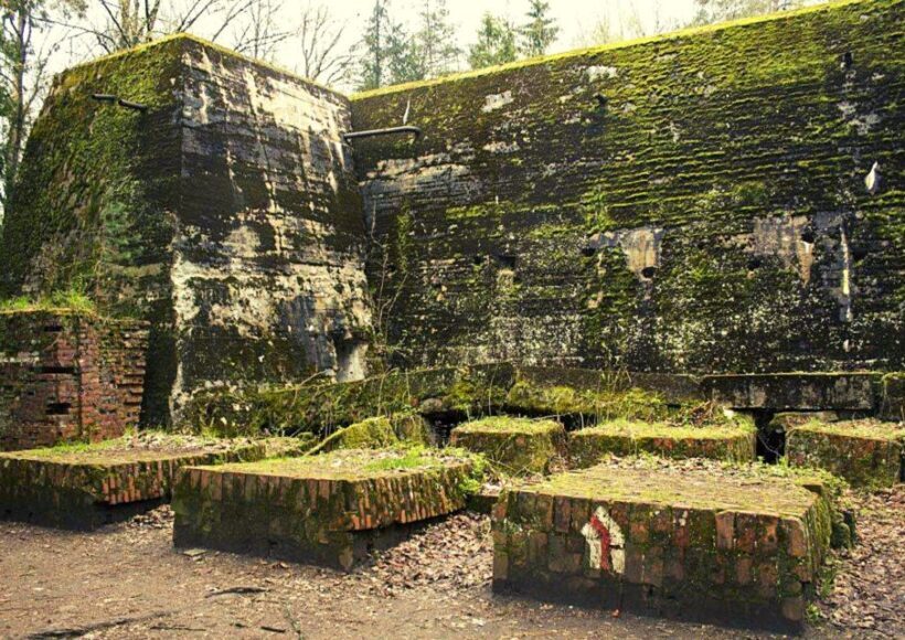 Warsaw: Wolf's Lair & Swieta Lipka Small-Group Tour + Lunch - The Experience in Detail