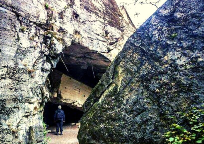Warsaw: Wolf's Lair & Swieta Lipka Small-Group Tour + Lunch - Who Will Love This Tour?