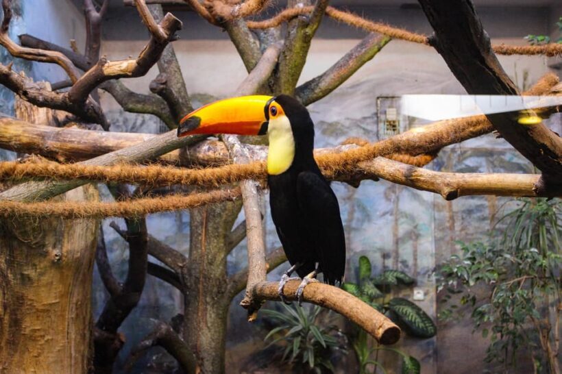 Warsaw Zoo Skip-the-Line Entry Ticket with Private Transport - Key Points