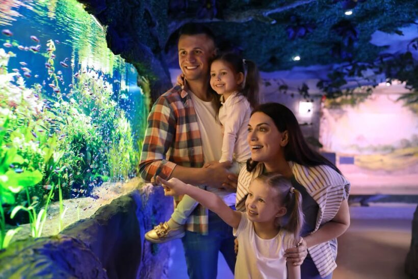 Warsaw Zoo Skip-the-Line Entry Ticket with Private Transport - FAQ
