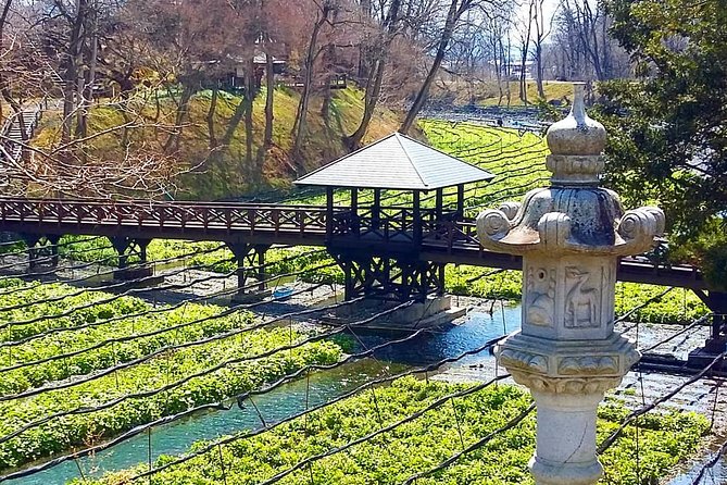 Wasabi Farm Walking Tour & Lunch - Tour Inclusions and Pricing