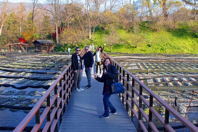 Wasabi Farm Walking Tour & Lunch - Meeting and Pickup Information