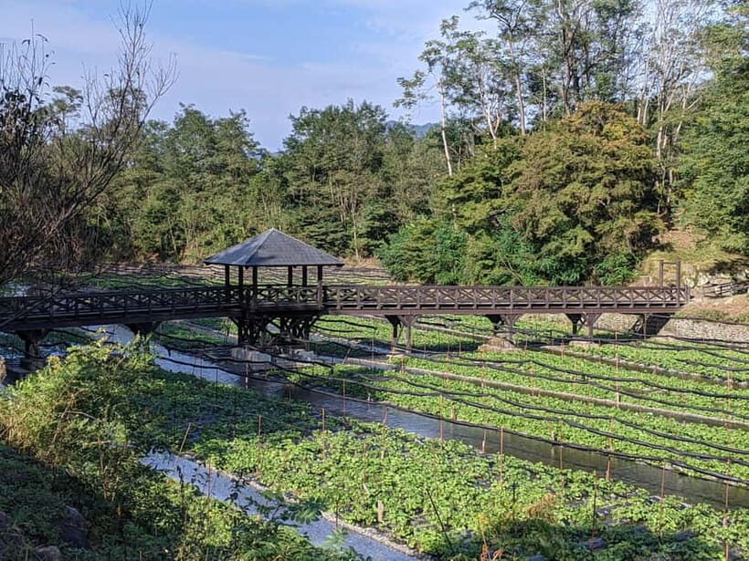 Wasabi Farm Walking Tour with Lunch - Shopping for Wasabi and Souvenirs