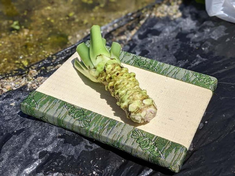 Wasabi Farm Walking Tour with Lunch - Practical Details and Tips