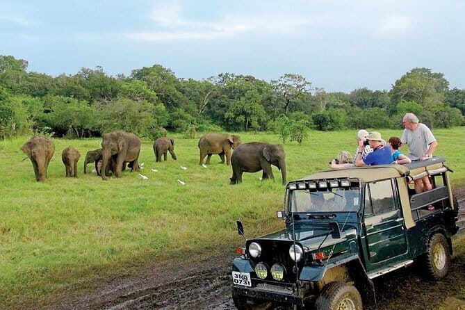 Wasgamuwa National Park Entrance Ticket with Private Safari - Final Words