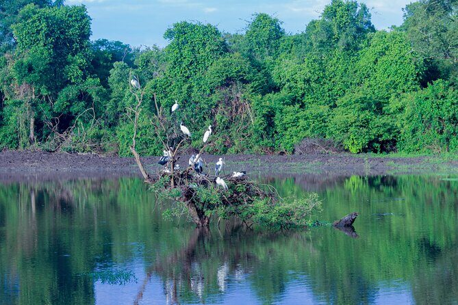 Wasgamuwa National Park | Private Safari - The Sum Up