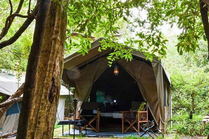 Wasgamuwa National Park Private Safari with Naturalist - The Sum Up