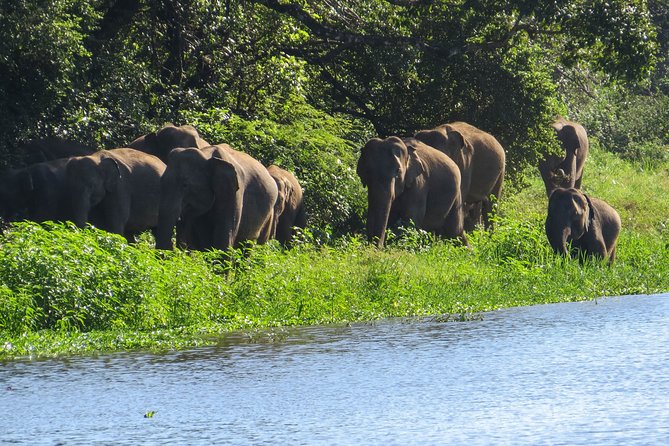 Wasgamuwa National Park Safari - FAQ