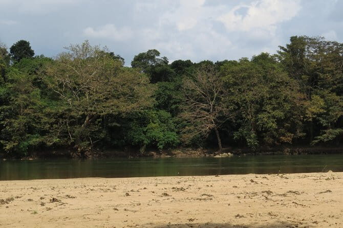 Wasgamuwa National Park Safari from Kandy - What Travelers Can Expect: Value and Authenticity