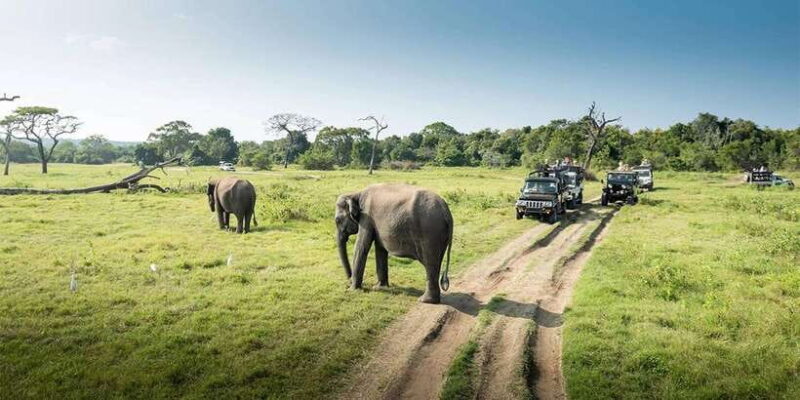Wasgamuwa National Park Safari (Private Jeep) - FAQ