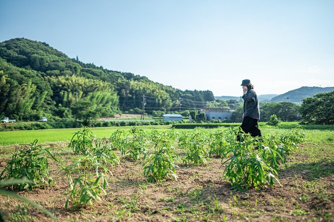 Washi Workshop in Shizenji - Enjoying the Included Snacks and Refreshments
