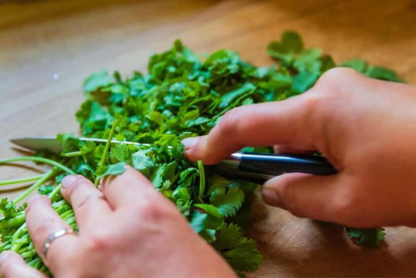 Washington D.C.: Immersive Tacos Cooking Class - FAQ