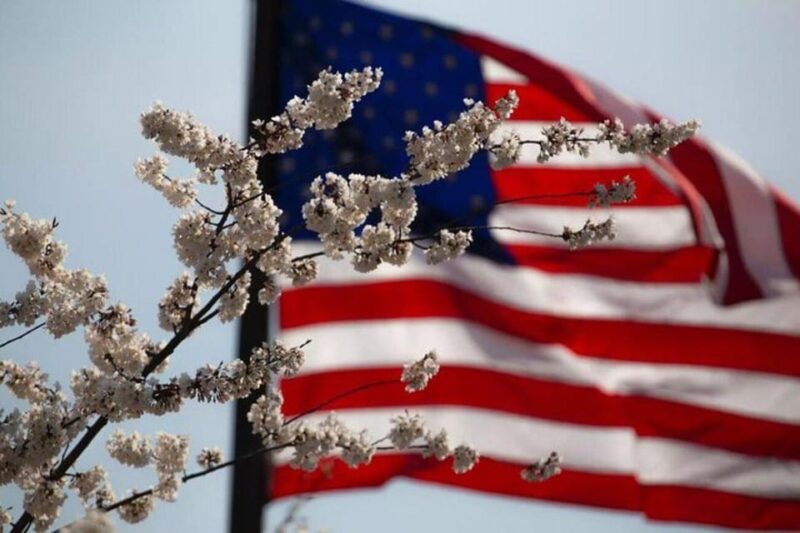 Washington, D.C.: Small Group Tour by Van - Who Should Consider This Tour?