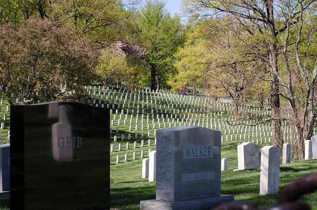 Washington DC: Arlington Nat. Cemetery Ticket & Tram Tour - The Experience on the Ground