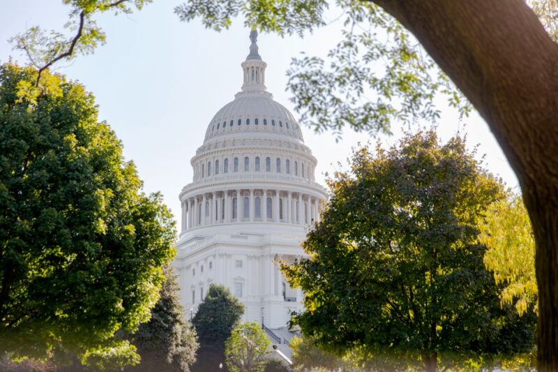 Washington DC: Bus Tour with US Capitol and Archives Access - Transportation and Group Size