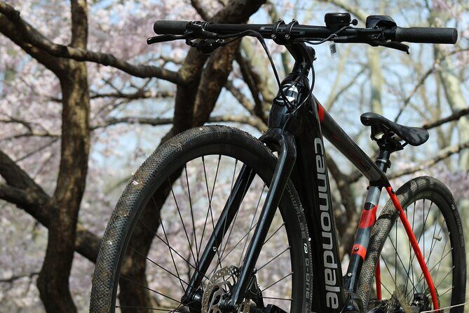 Washington DC eBike Rentals - FAQ