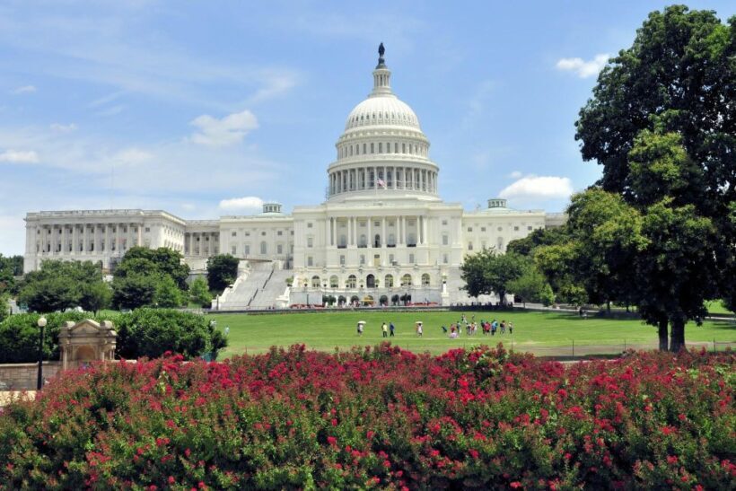 Washington DC from NYC Private Full-day Trip by Car - Final Thoughts