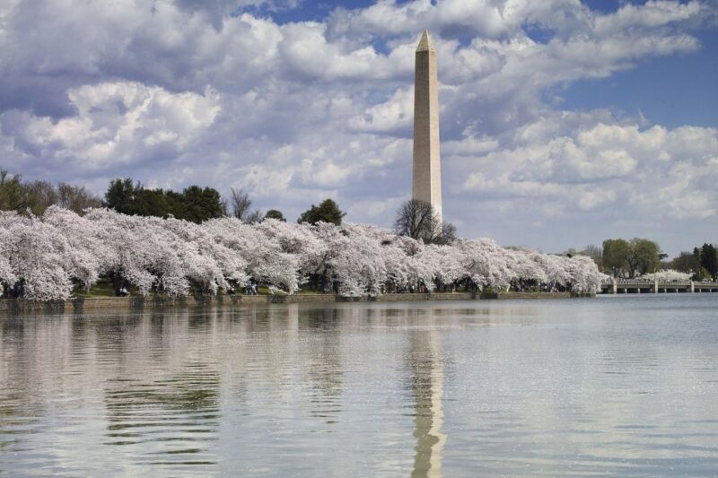 Washington DC: Half-Day Bus Tour with Optional Museum Ticket - Who Is This Tour Best For?