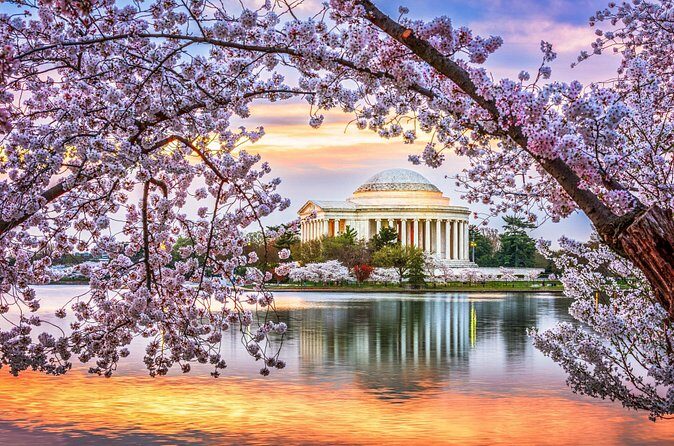 Washington DC Highlights: Private Half-Day Tour - Potential Drawbacks