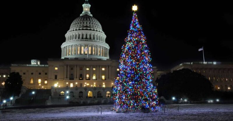 Washington, DC: Holiday Lights Nighttime Bus Tour - The itinerary in detail