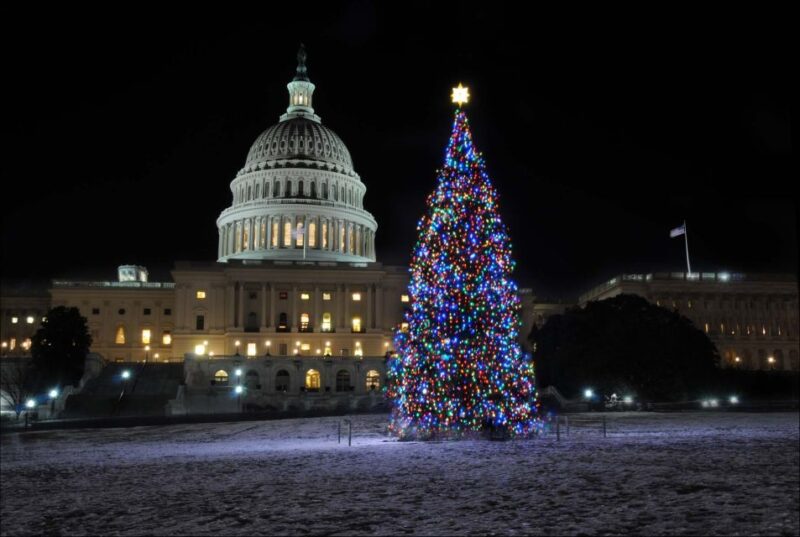 Washington, DC: Holiday Lights Nighttime Bus Tour - What the reviews tell us