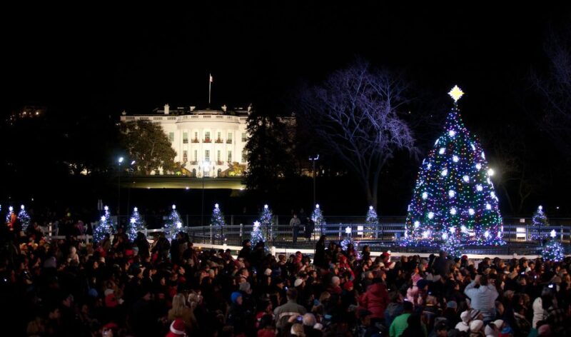 Washington, DC: Holiday Lights Nighttime Bus Tour - The Sum Up