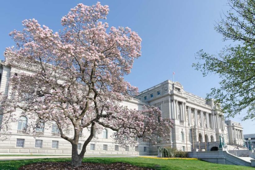 Washington DC: Library of Congress Private Tour with Tickets - The Collections & Manuscripts
