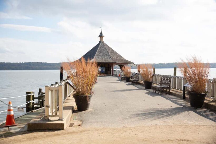 Washington DC: Mt. Vernon Day Trip with River Cruise - Key Points