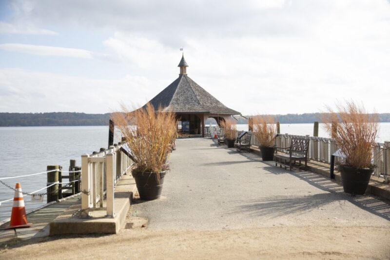 Washington DC: Mt. Vernon Day Trip with River Cruise - The Balance of Value and Experience