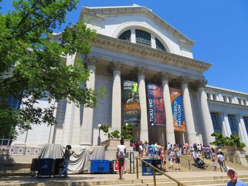 Washington DC: Museum of Natural History Private Guided Tour - In-Depth Look at the Tour