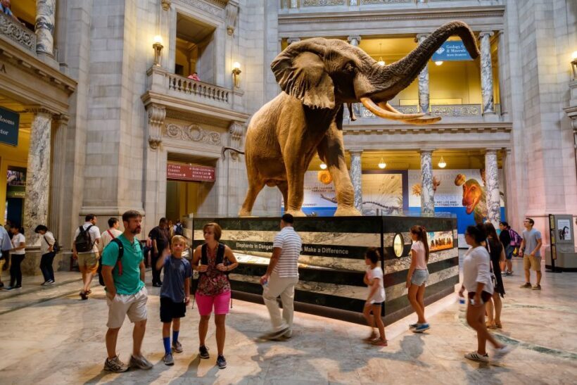 Washington DC: Museum of Natural History Private Guided Tour - Final Thoughts