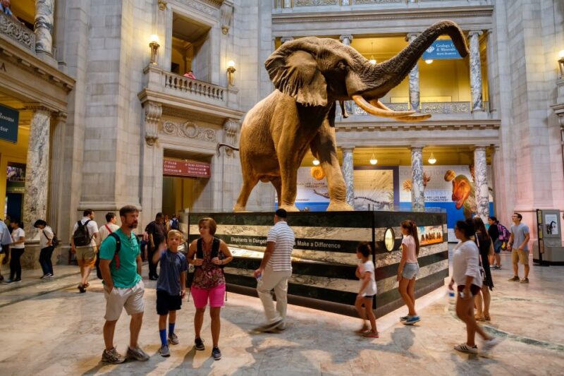 Washington DC: Museum of Natural History Private Guided Tour - What to Consider Before Booking
