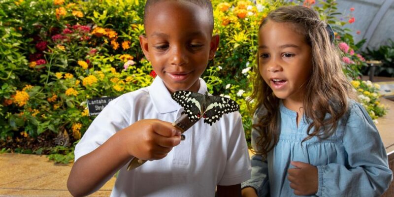 Washington DC: Museum of Natural History Private Guided Tour - Who Will Enjoy This Tour Most?