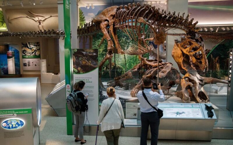 Washington DC: Museum of Natural History Private Guided Tour - Final Thoughts