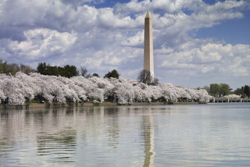 Washington DC: Must See Sights Half-Day Tour - What You Can Expect from This Tour