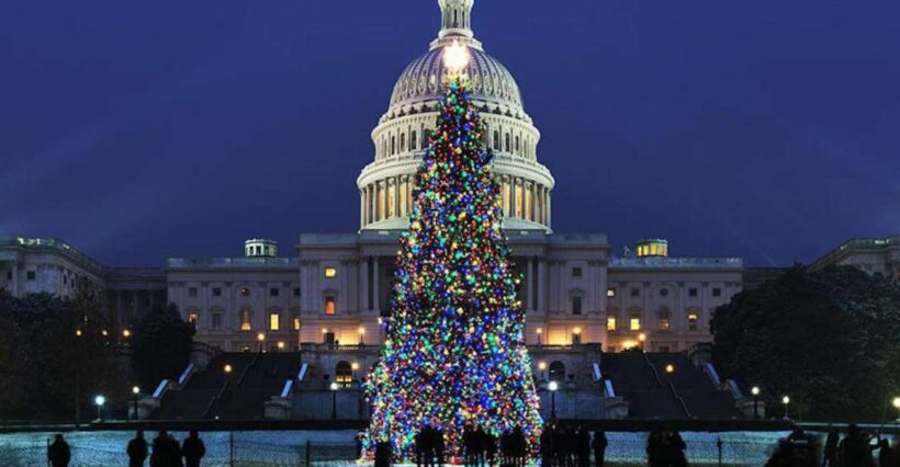 Washington, DC: National Mall and Memorials Moonlight Tour - Key Points