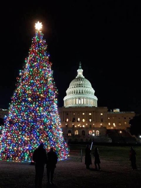 Washington, DC: National Mall and Memorials Moonlight Tour - Frequently Asked Questions