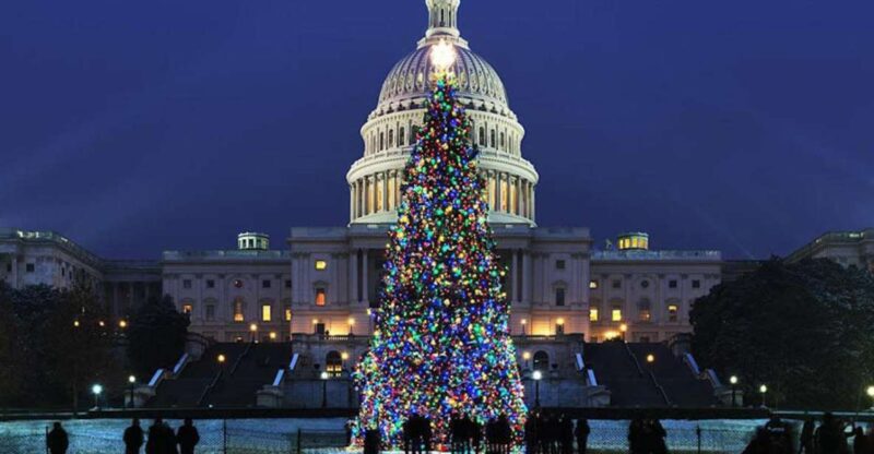 Washington, DC: National Mall and Memorials Moonlight Tour - An Overview of the Night Tour Experience
