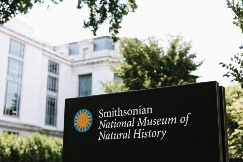Washington DC: National Museum of Natural History Tour - What to Expect: An Inside Look into the Tour