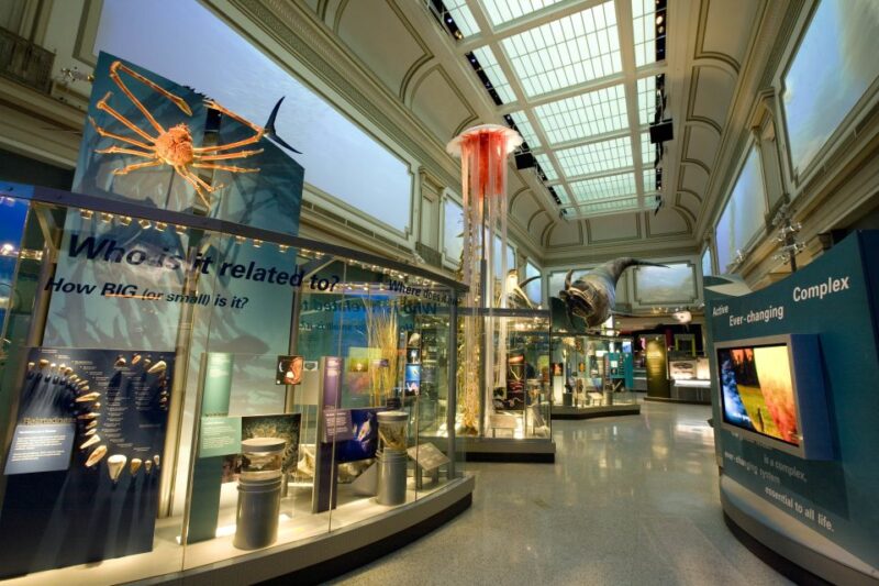 Washington DC: National Museum of Natural History Tour - Final Thoughts