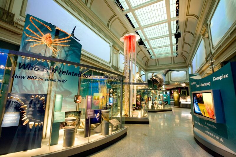 Washington DC: National Museum of Natural History Tour - FAQ