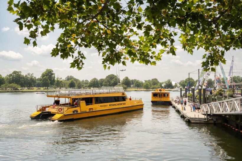 Washington DC: Potomac Cruise and Georgetown Walking Tour - Key Points