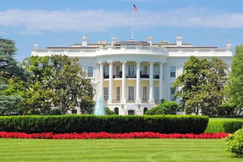 Washington DC: Private Custom Tour with a Local Guide - Key Points