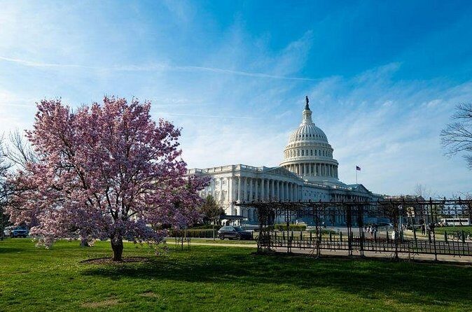 Washington DC Private Scavenger Hunt Tour - What Travelers Say