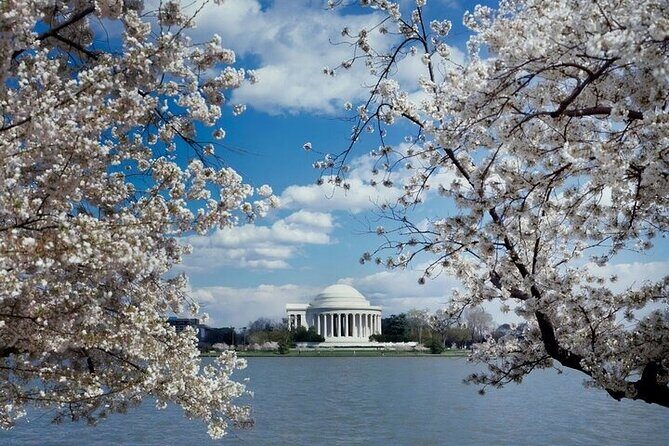 Washington, DC Self-Guided Private SUV TourMonuments & Memorials - Final Thoughts