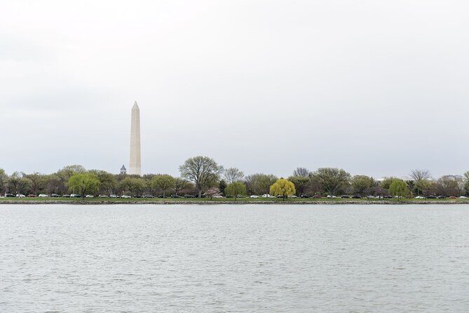 Washington DC Unlimited Two Day Water Taxi Pass - A Closer Look at the Water Taxi Experience