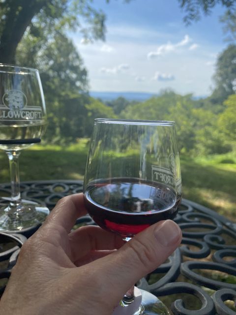 Washington, DC: Virginia Wine Region Experience Tour - What the Tour Includes and What You Can Expect